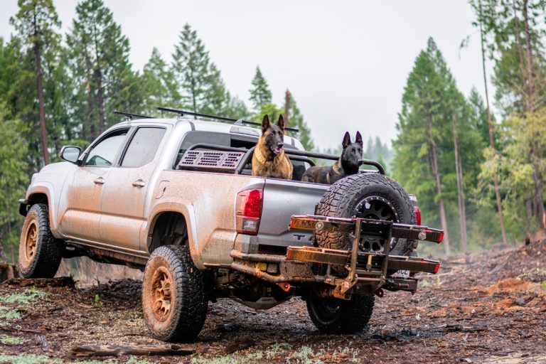 Buyer's Guide: Leaf Springs For 2nd & 3rd Gen Tacoma