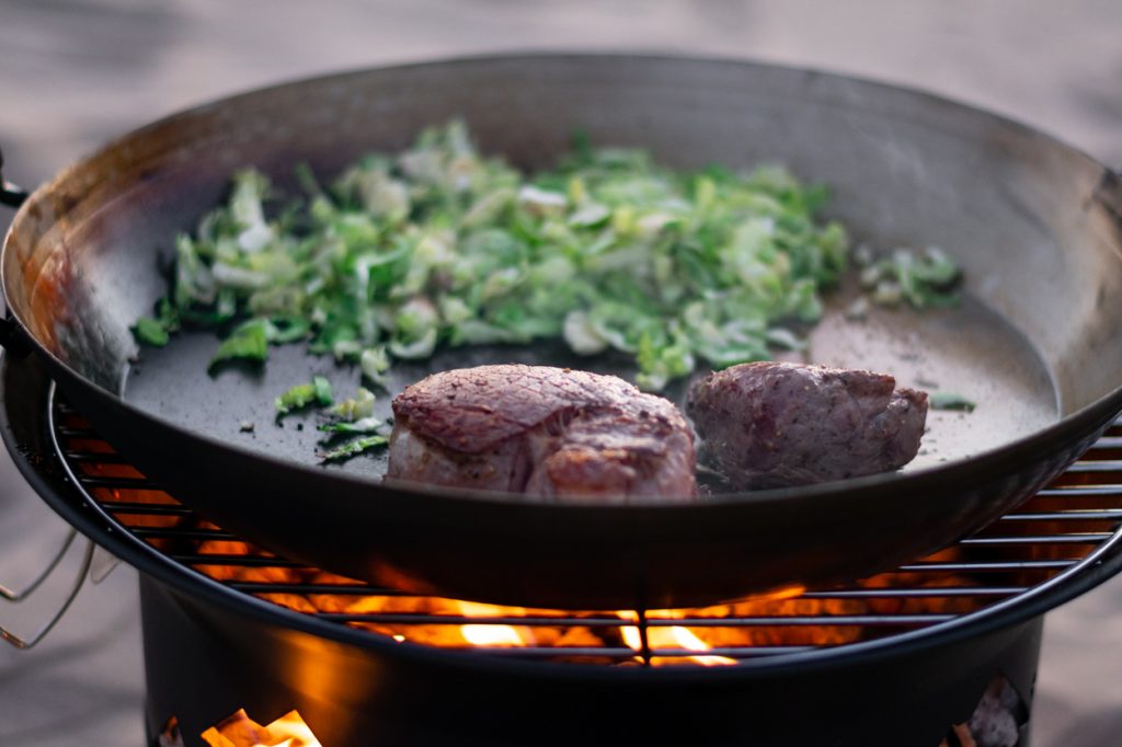 Trail Fire Portable Propane Grill + Fire Pit - Review & Overview