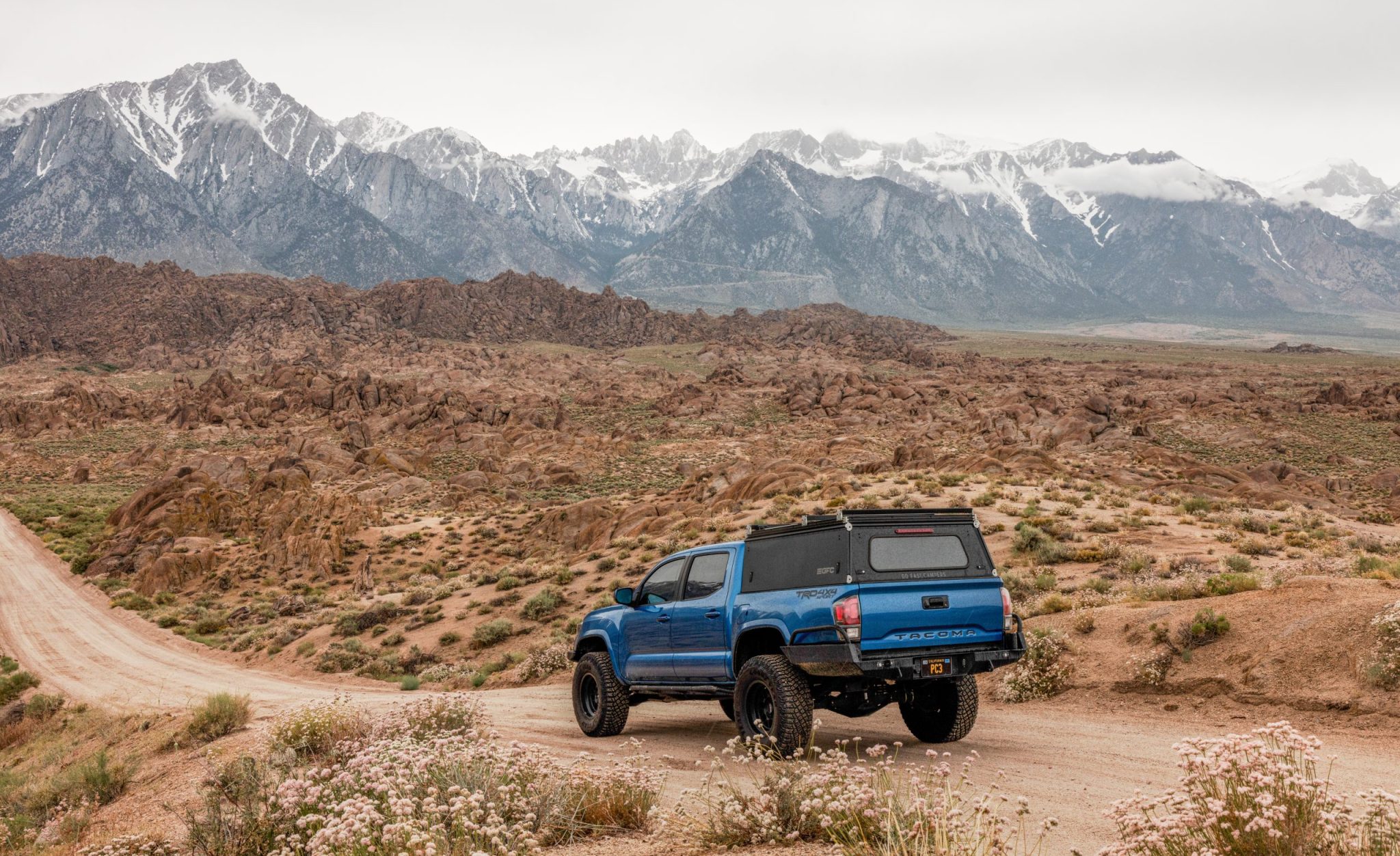 GFC Platform Topper Review