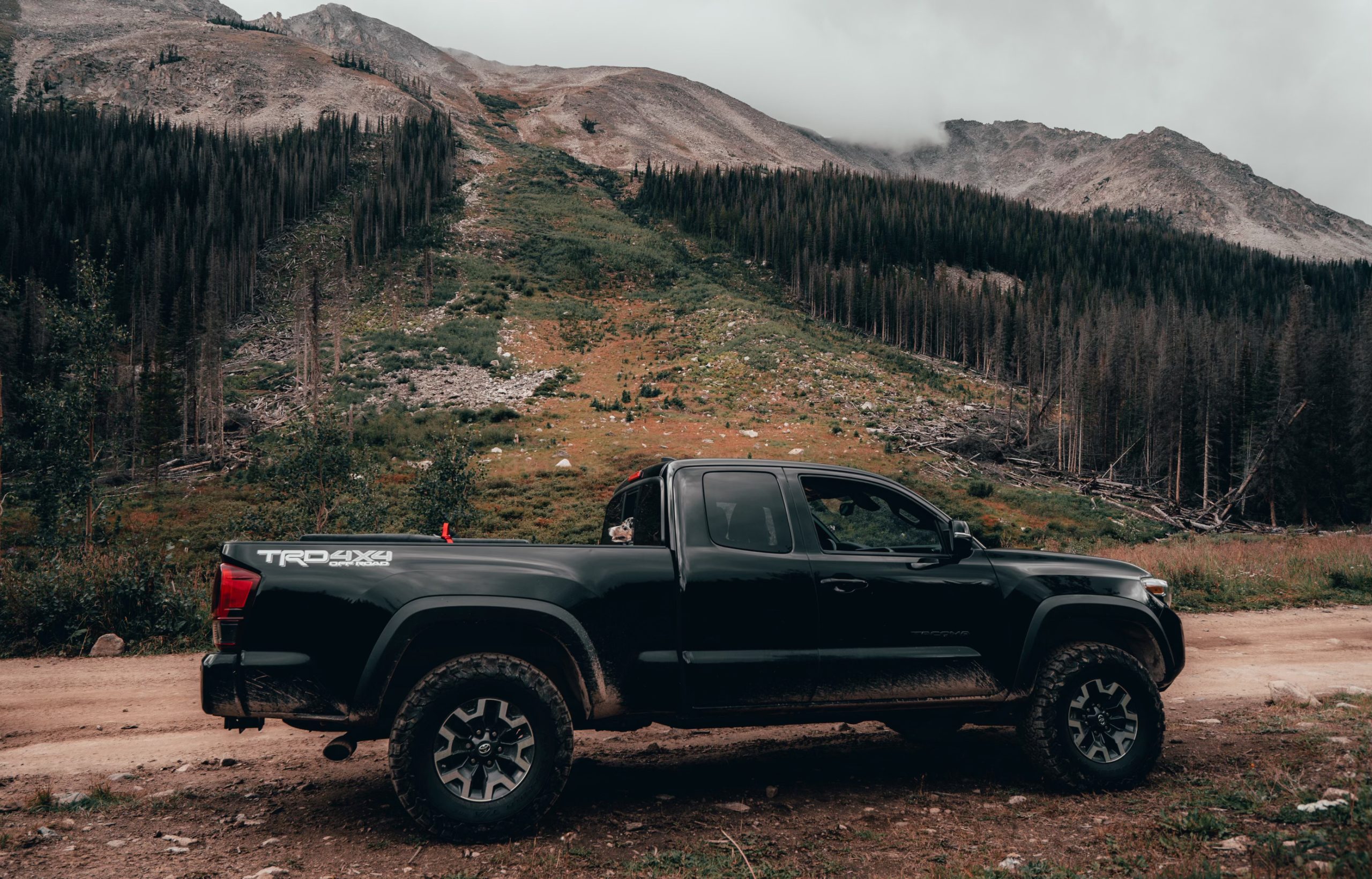 Tincup Pass From St. Elmo, Colorado - Detailed Trail Guide