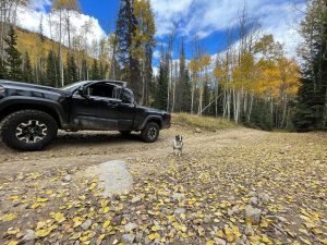 Tincup Pass From St. Elmo, Colorado - Detailed Trail Guide