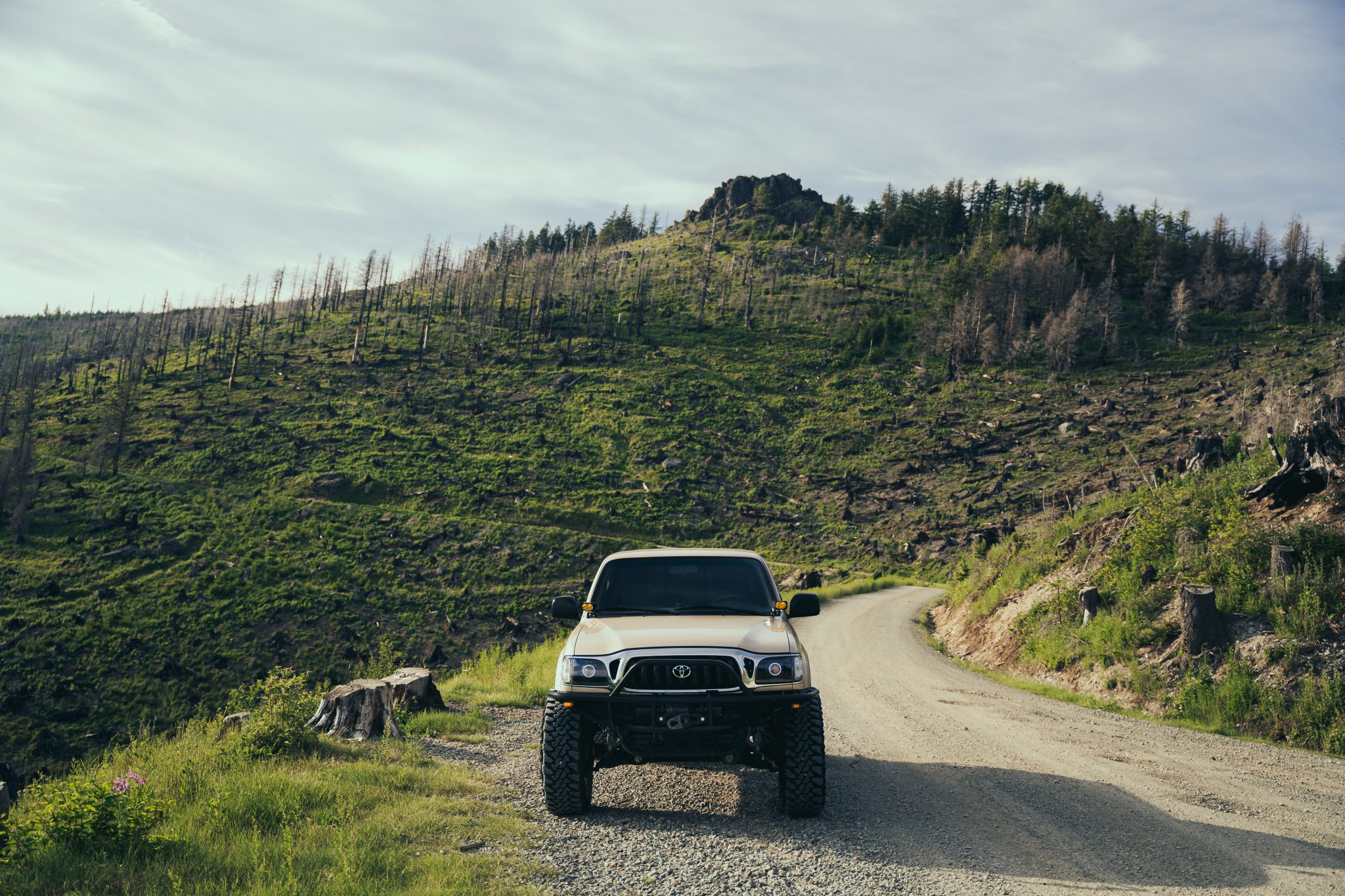 Yacolt Forest ORV Trail System In Washington - Guide & Overview