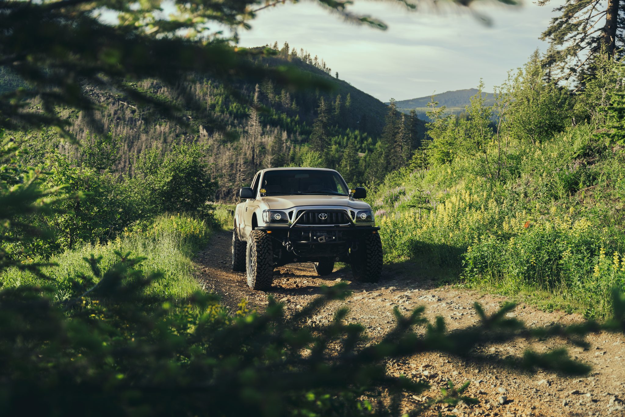 Yacolt Forest ORV Trail System In Washington - Guide & Overview