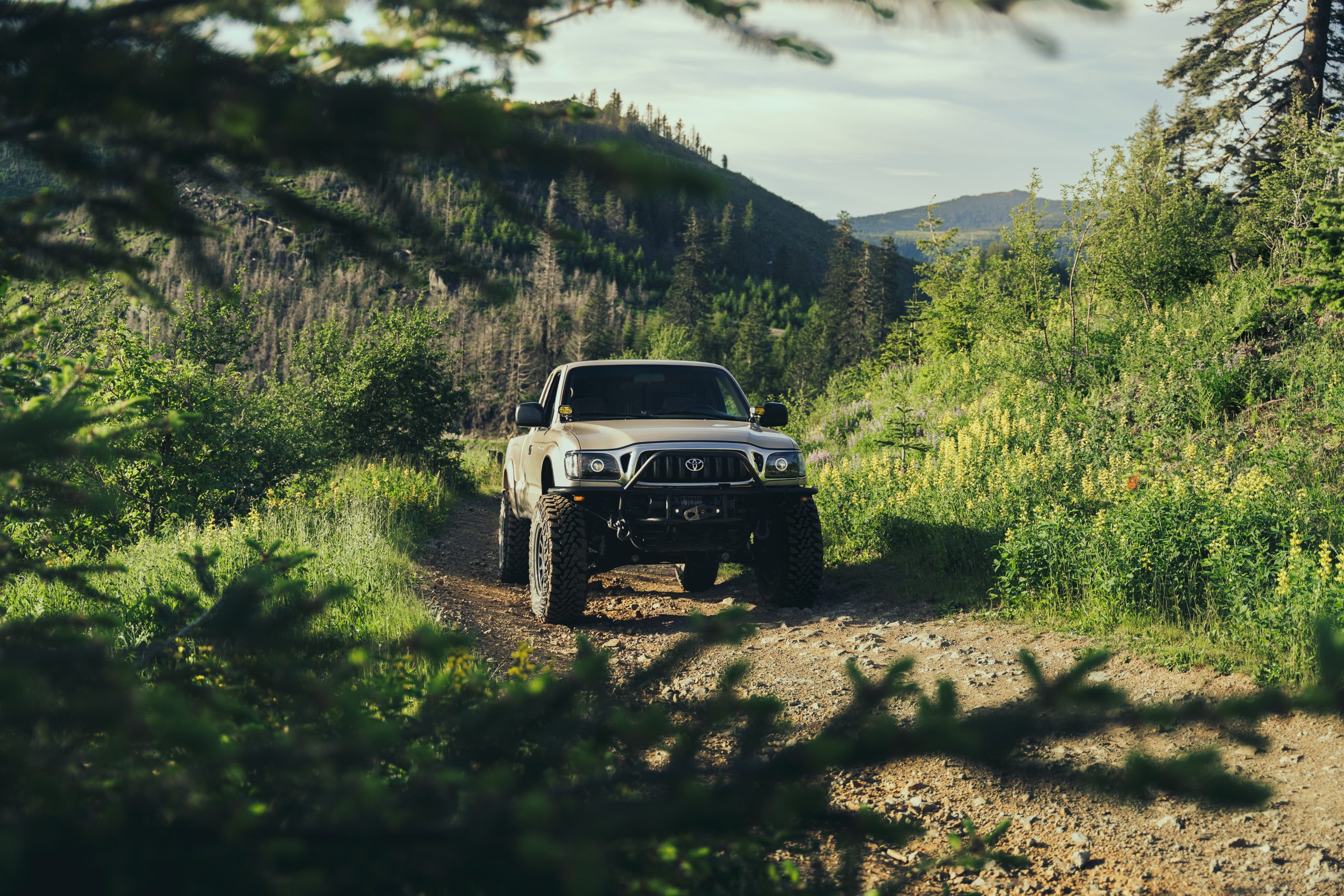 Yacolt Forest ORV Trail System In Washington - Guide & Overview