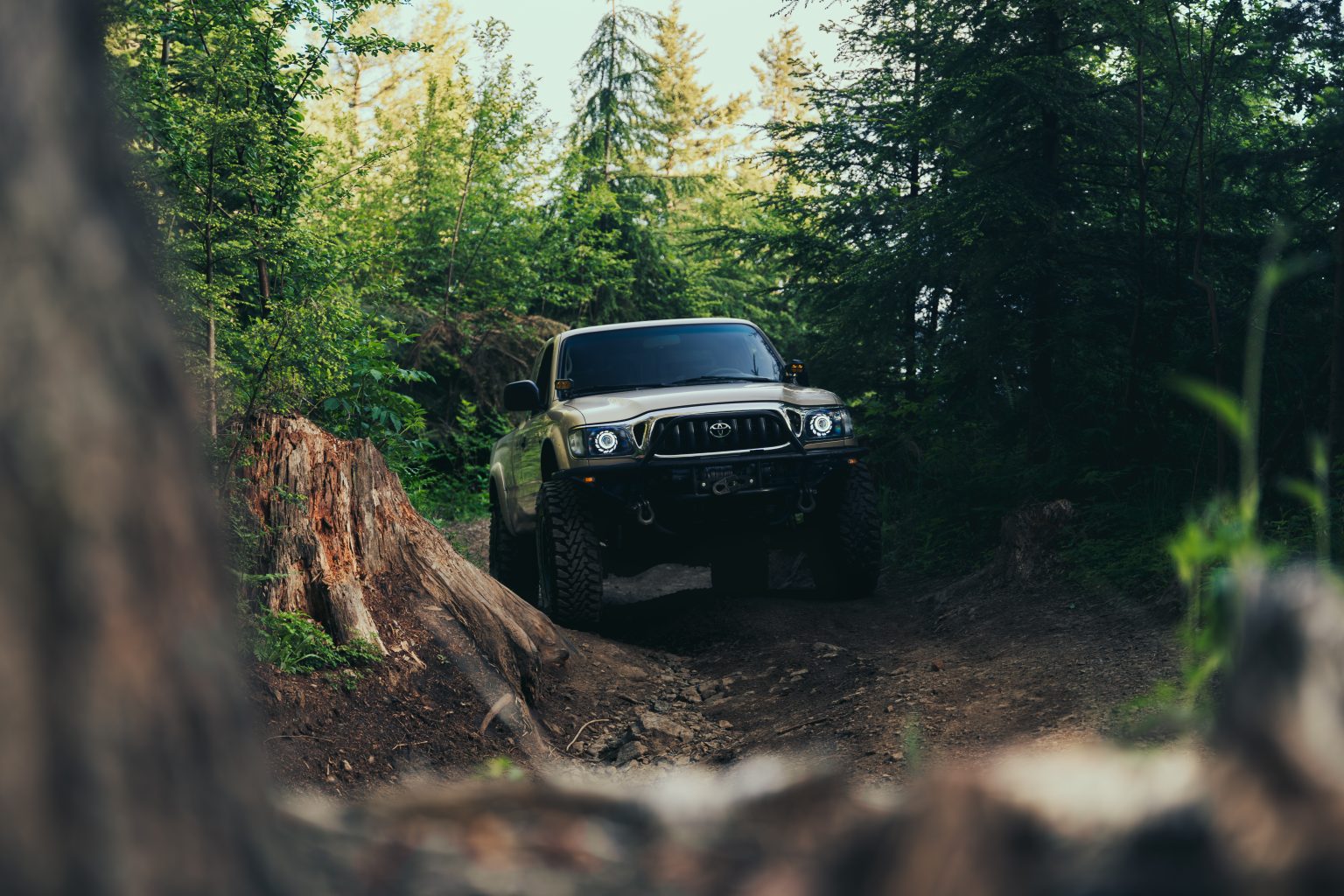 Yacolt Forest ORV Trail System In Washington - Guide & Overview