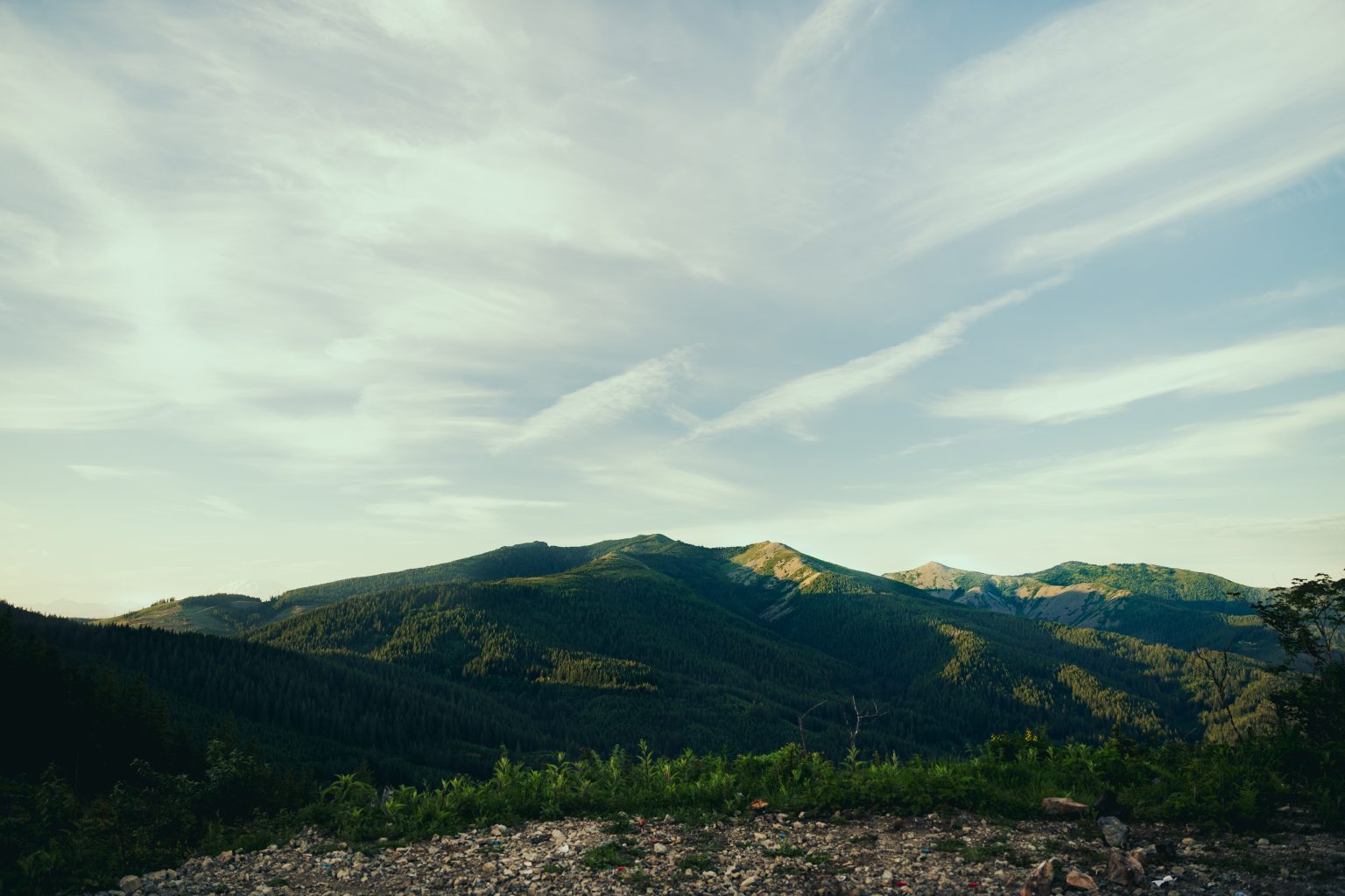 Yacolt Forest ORV Trail System In Washington - Guide & Overview