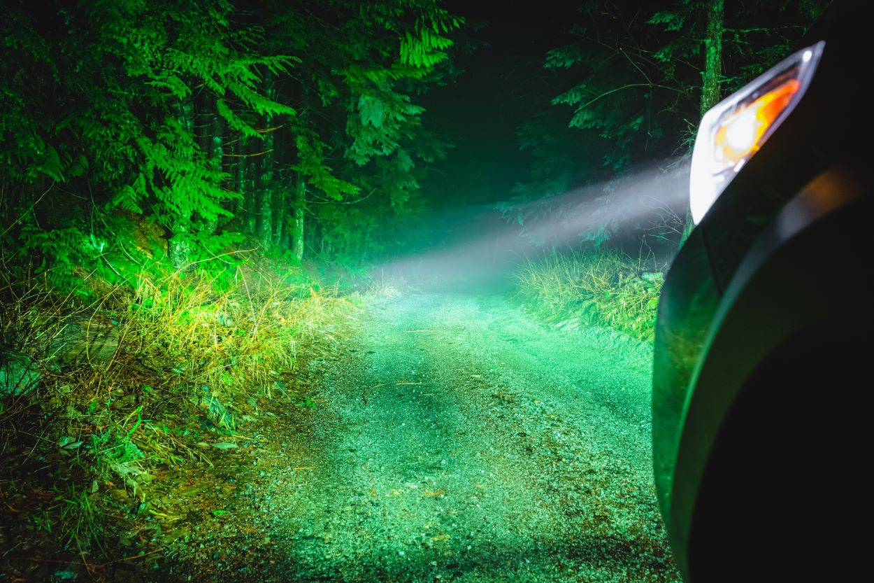 Cali Raised LED Fog Light Replacement (16-23) - Install & Review